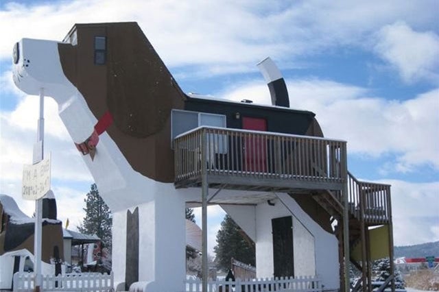 World's Most Unusual Hotels: The World's Biggest Beagle - The Points Guy