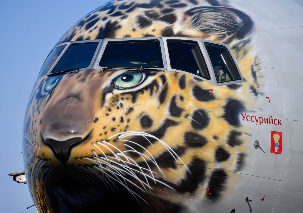 The World’s Most Amazing Airline Liveries - The Points Guy