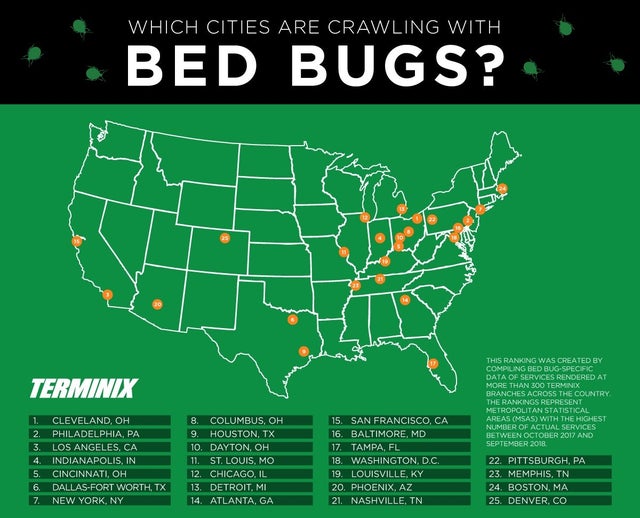These Cities Had the Most Bed Bug Infestations in 2018 - The Points Guy