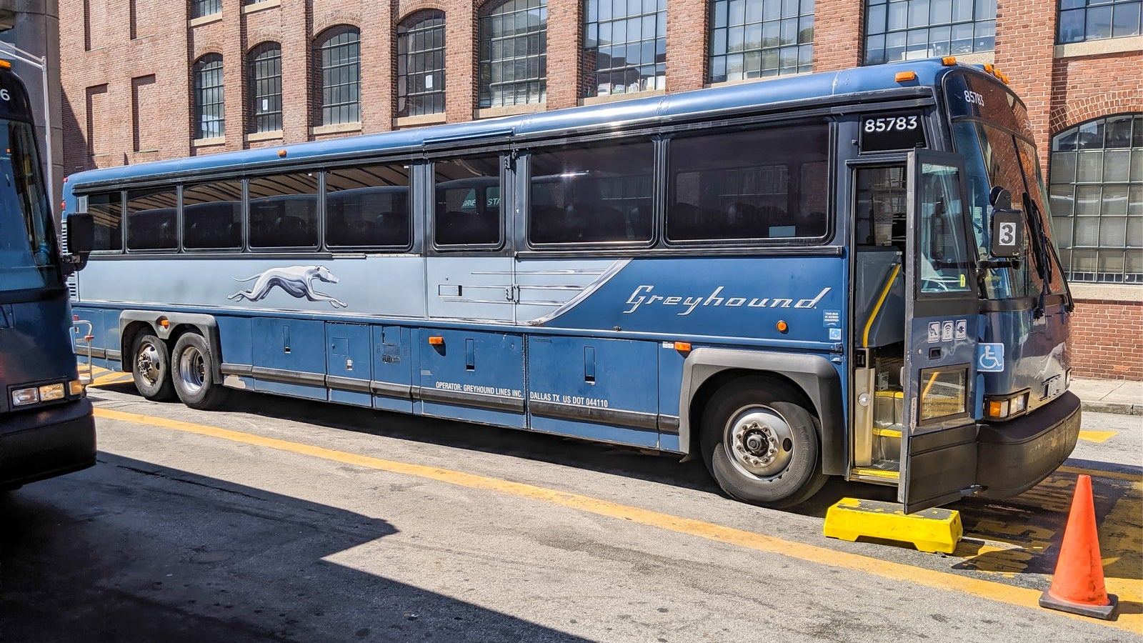 greyhound buses