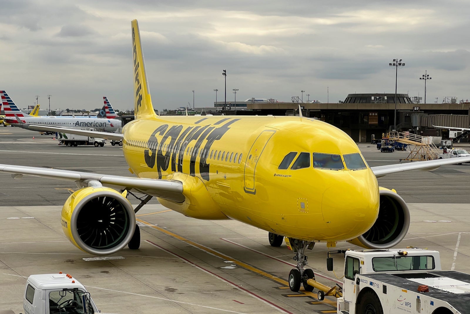 Spirit Airlines adds 1 new city, 6 new routes in latest expansion spree ...