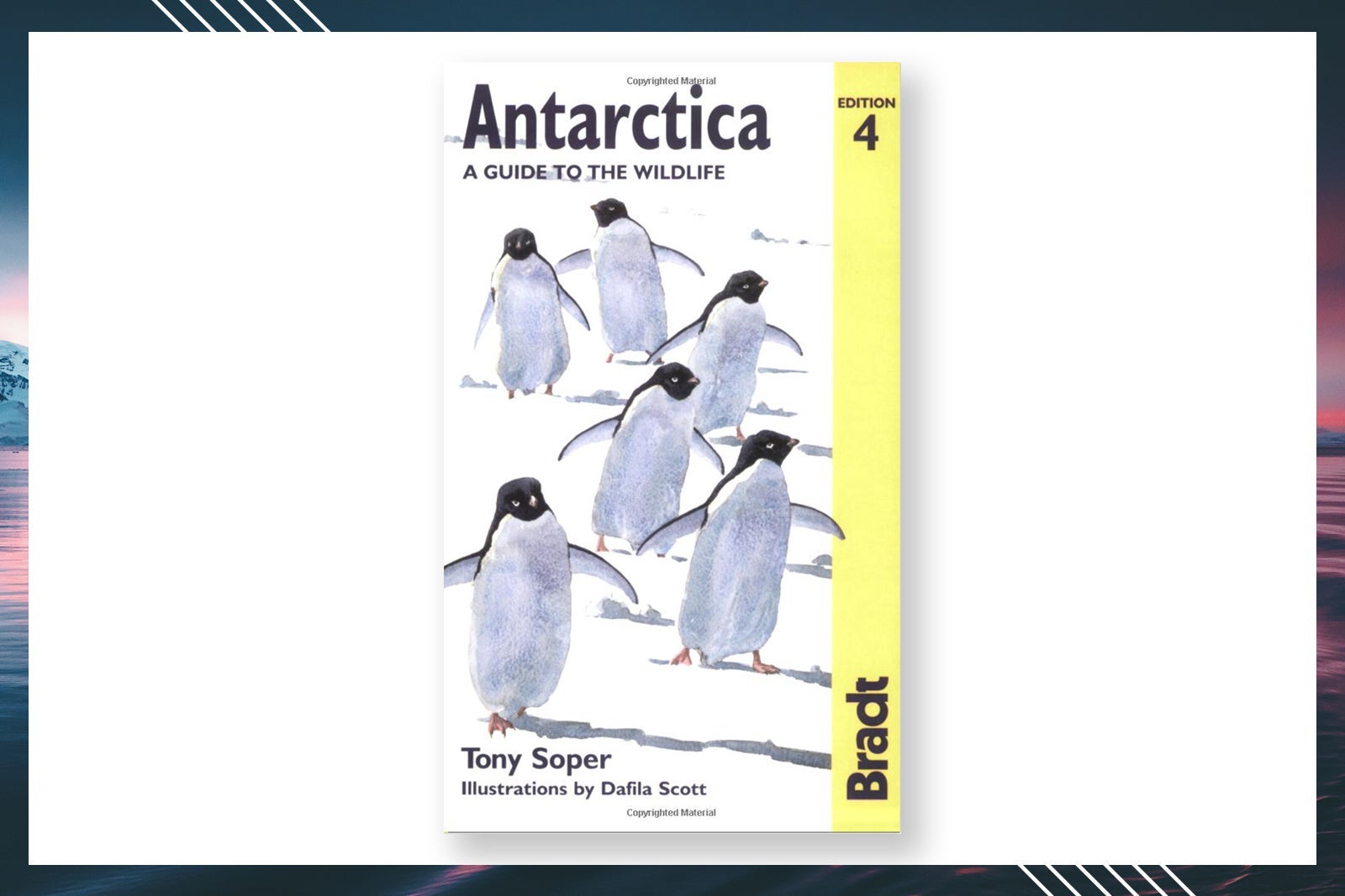 Antarctica reading list: These 8 books are must-reads before a trip to ...