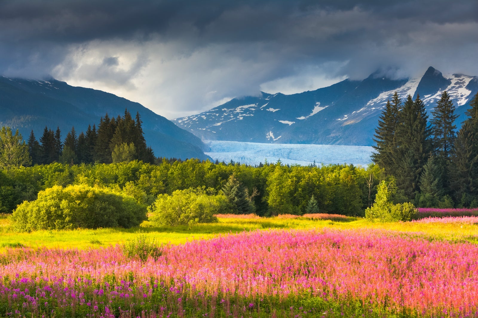 UMVA - The best time to cruise Alaska