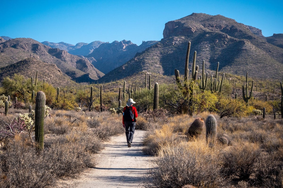 Family-friendly road trips you can take through Arizona - The Points Guy