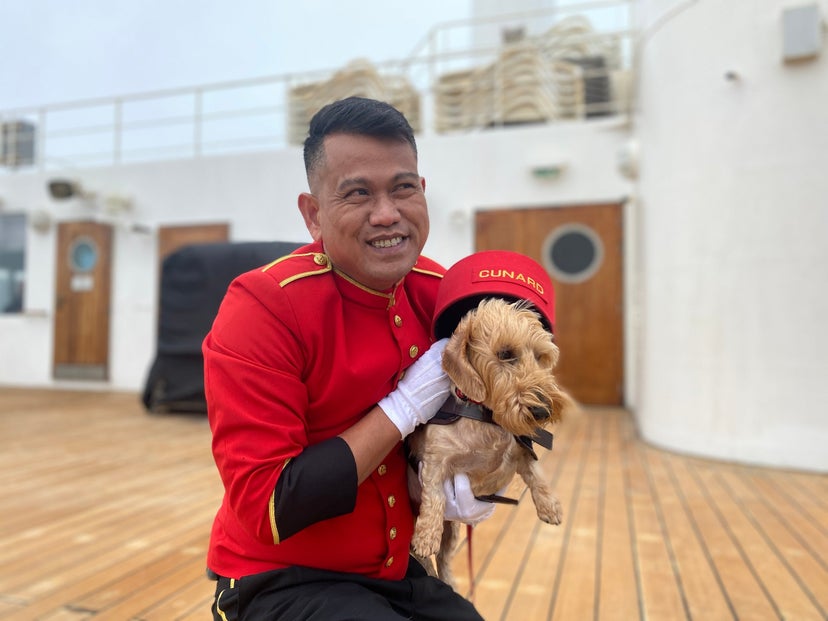 Are dogs allowed on cruise ships? Here are cruises that allow pets ...