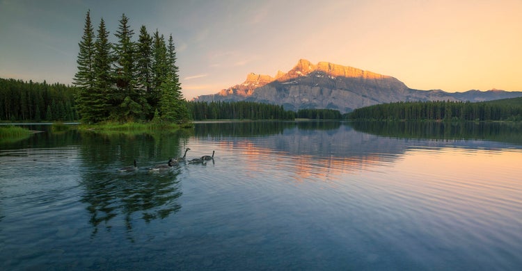 Deal alert: Fly to Canada for the holidays for under $100 - The Points Guy