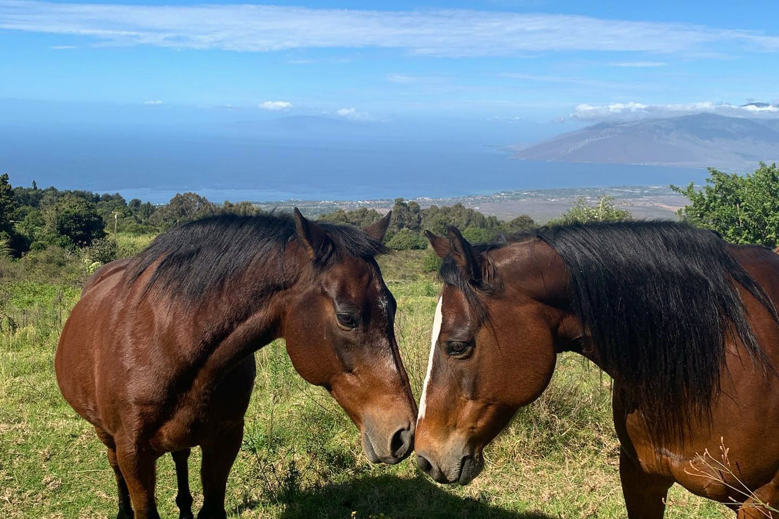 Places in Maui to get away from the crowds - The Points Guy