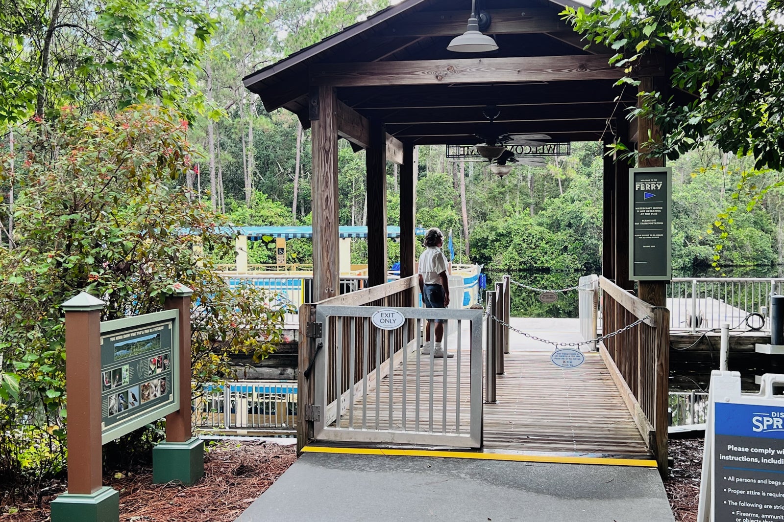 A hidden gem in plain sight: What it's like at Disney World's Treehouse ...