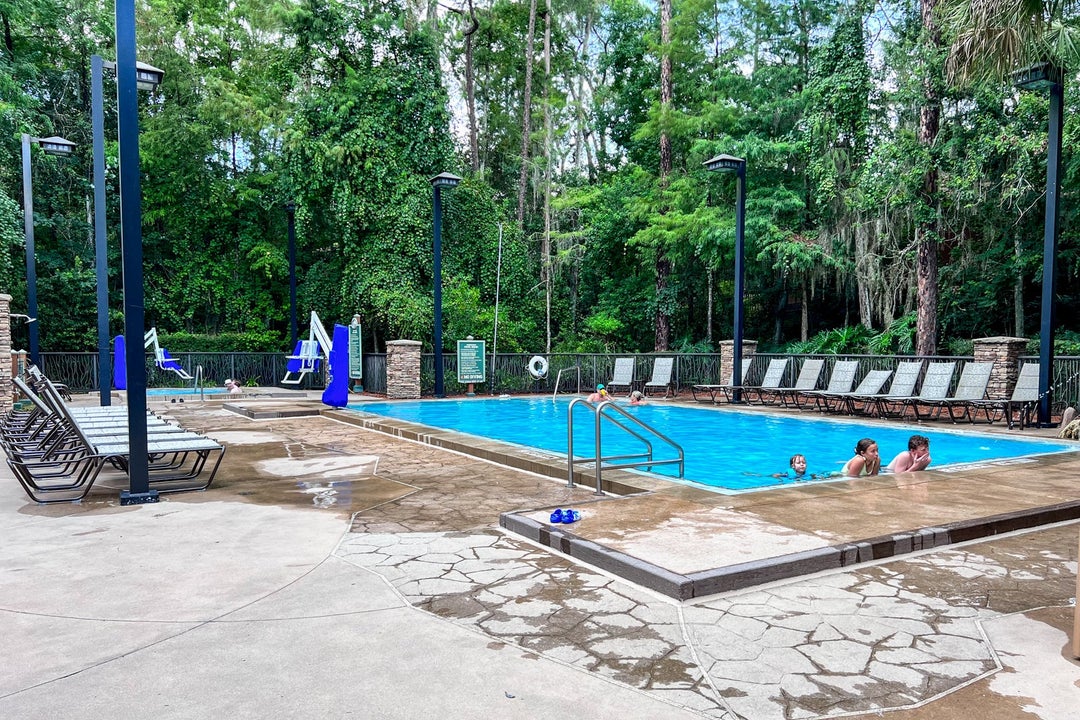 A hidden gem in plain sight: What it's like at Disney World's Treehouse ...