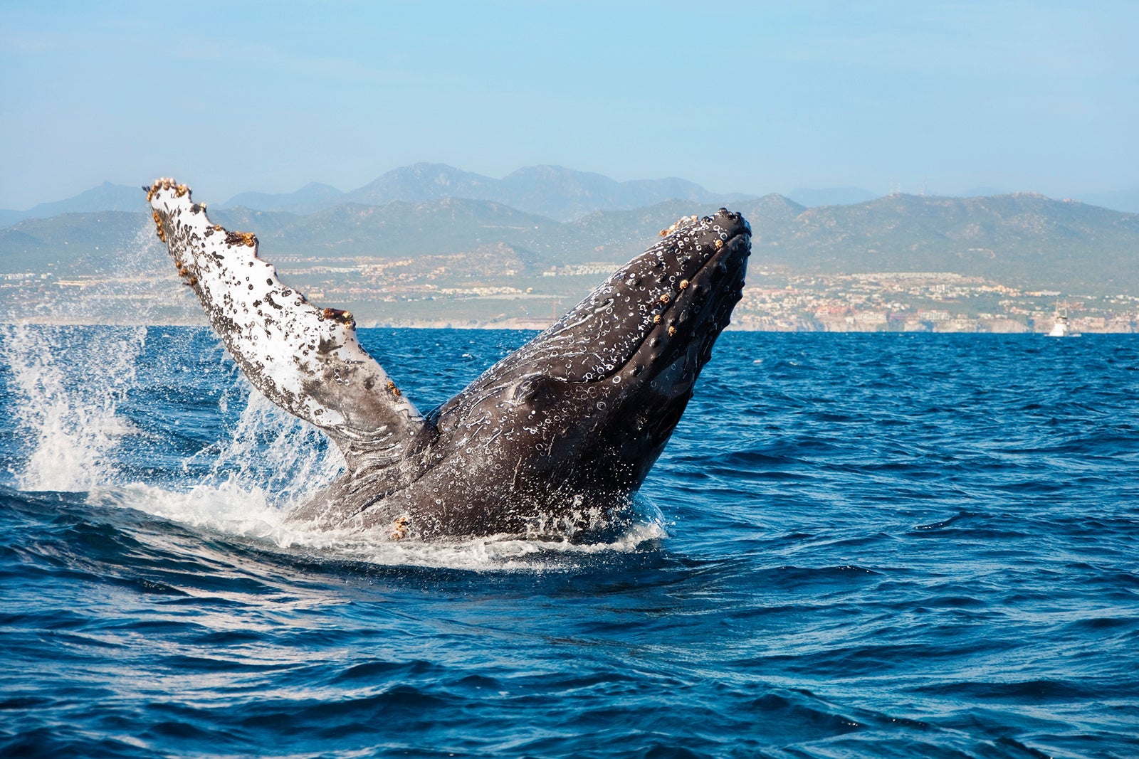 5 best family vacation destinations for 2025 - The Points Guy