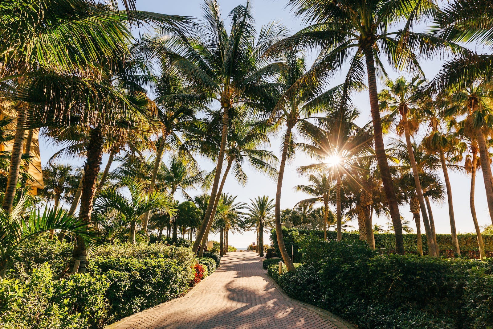 Spring break destinations you can book on points - The Points Guy