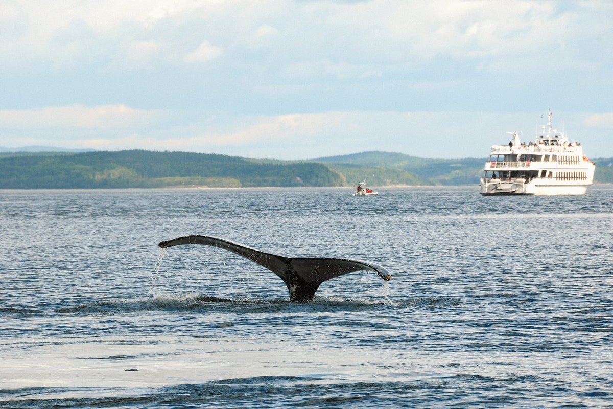 The best time for a Canada and New England cruise - The Points Guy
