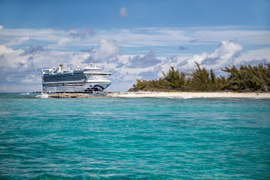 Princess Cruises ships from newest to oldest — a complete list - The ...