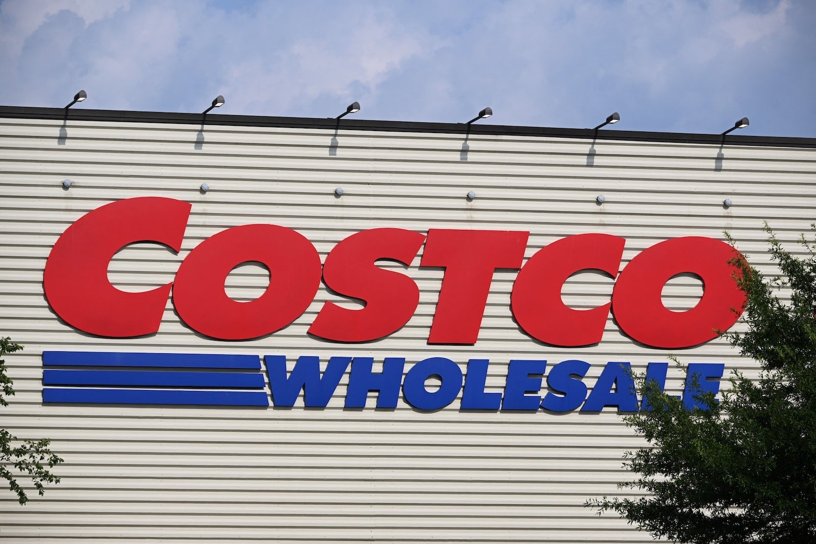 Costco Anywhere Visa Card review: A great option for Costco loyalists ...