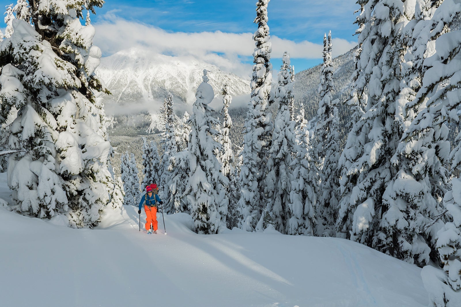 El Nino set to bring another banner ski year to certain parts of the US ...