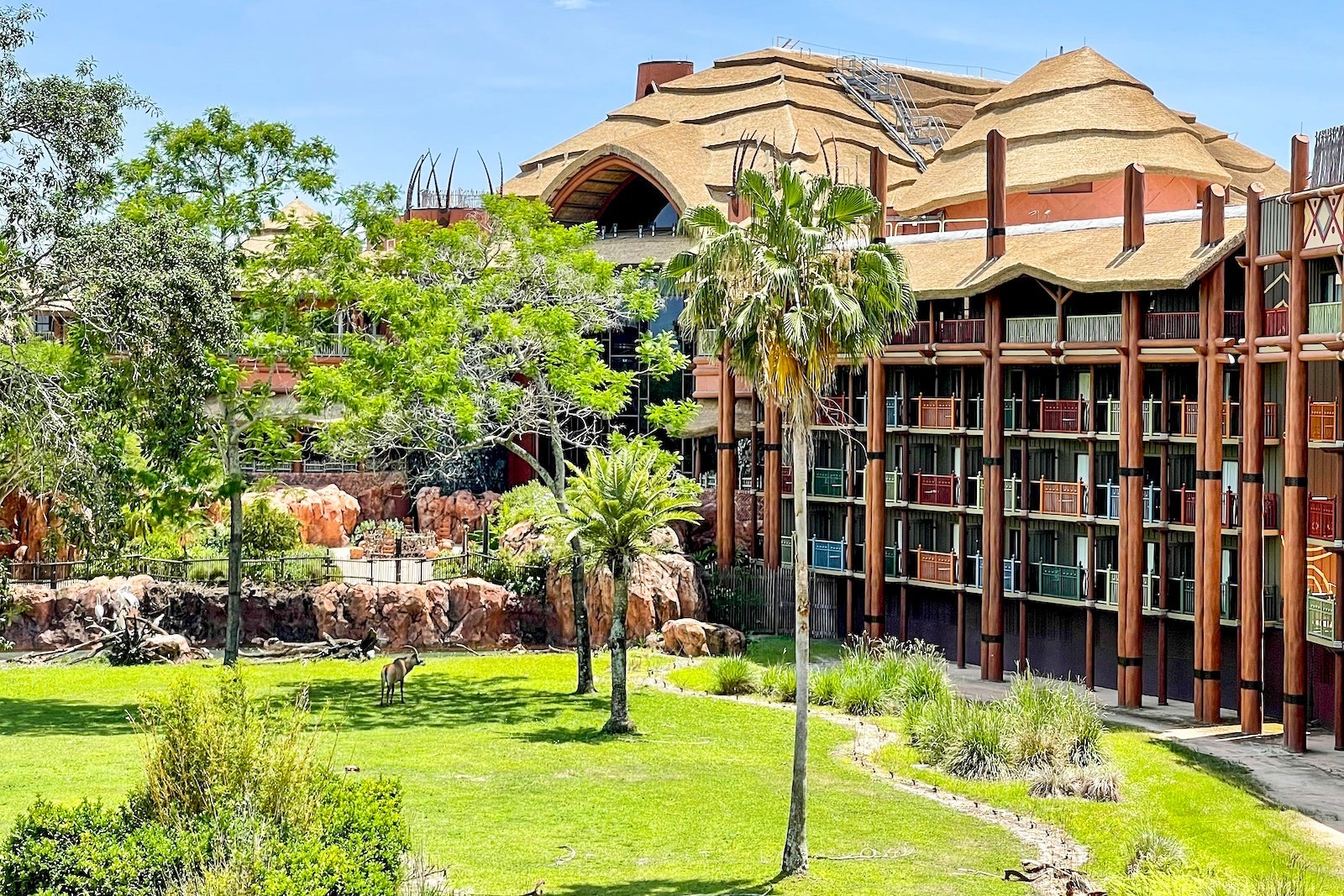 Disney World hotels: Pros and cons - The Points Guy
