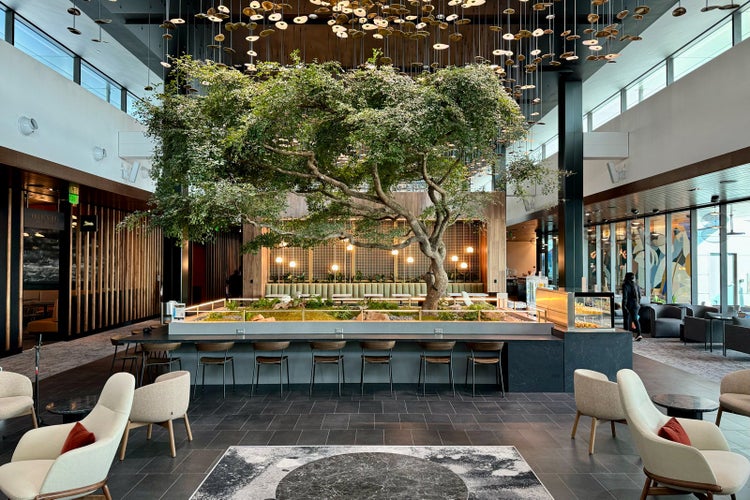 First look: Amex's stunning new Centurion Lounge in Atlanta - The ...