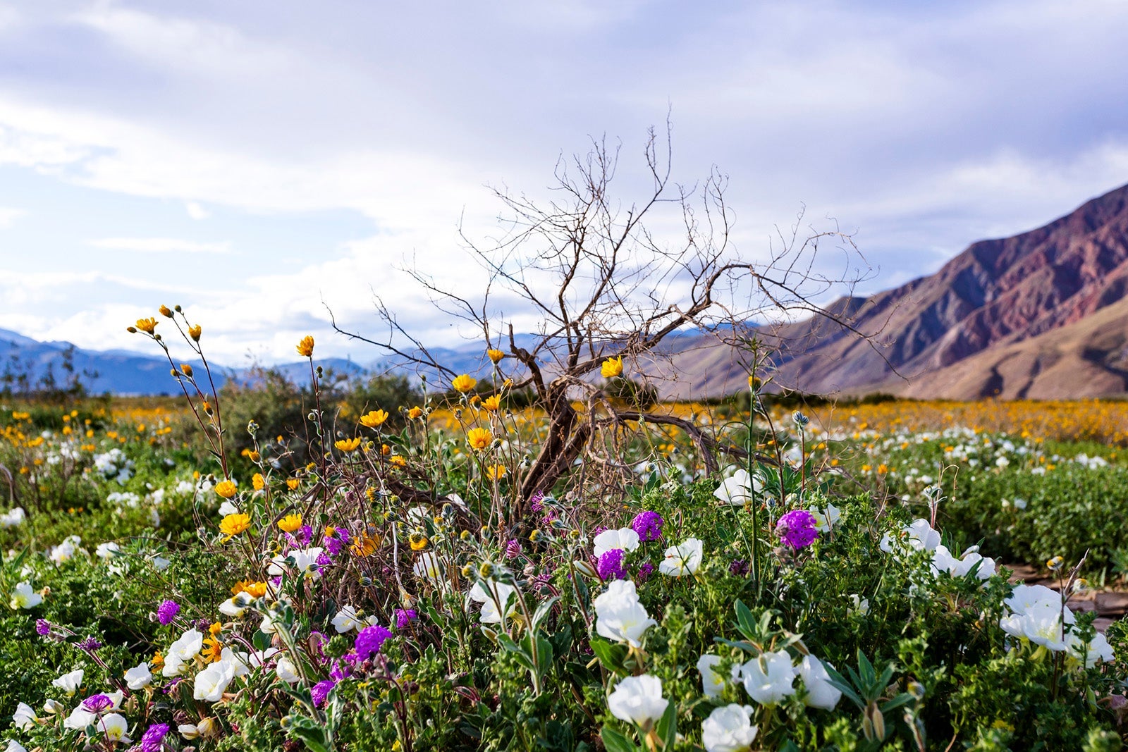 11 best US spring break destinations in 2026 - The Points Guy