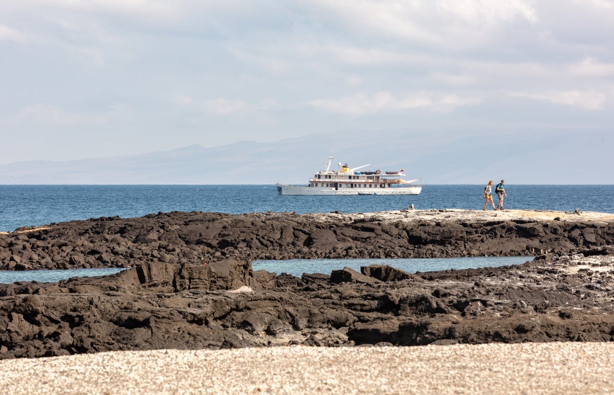 Best Galapagos cruises for an epic wildlife adventure of a lifetime ...