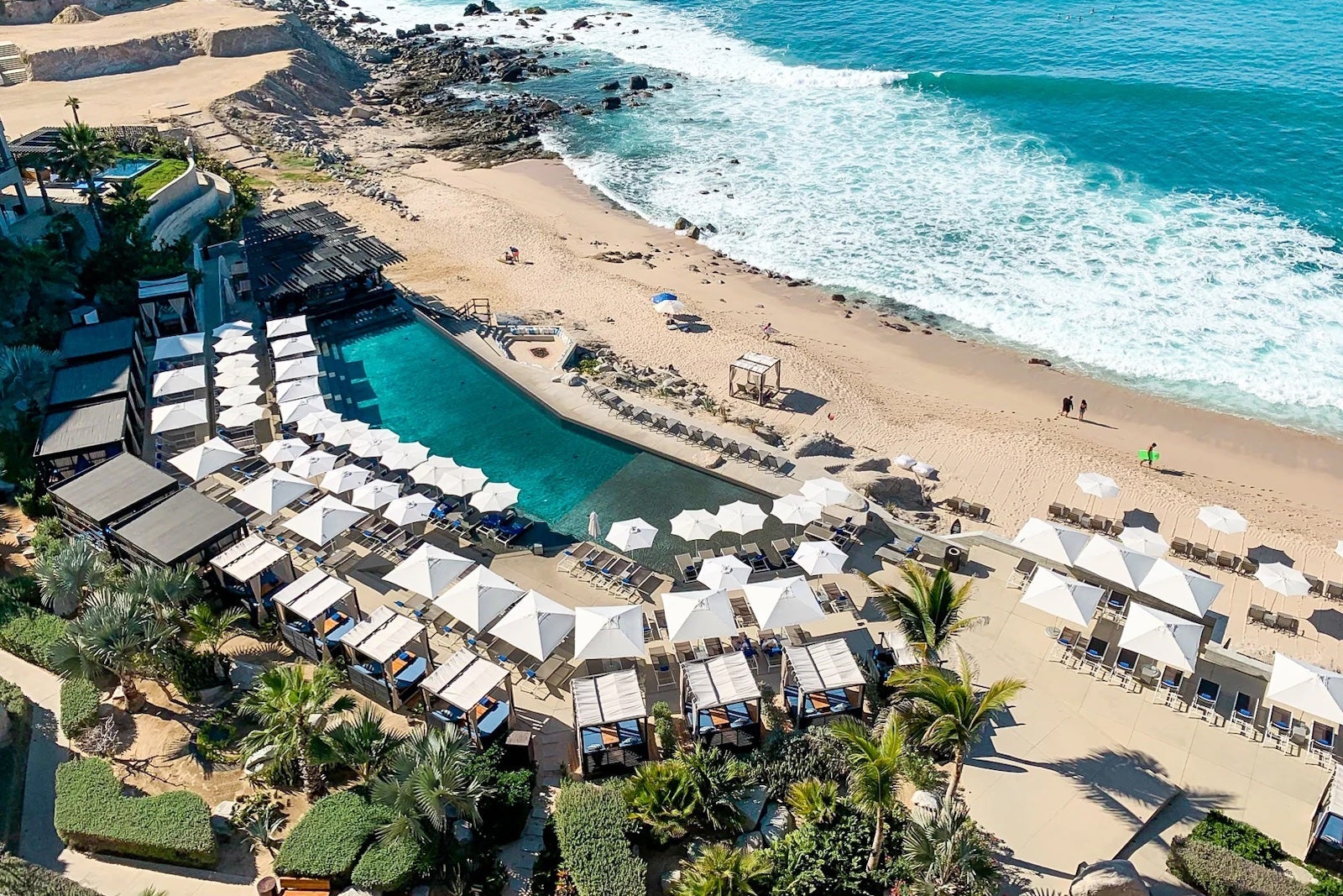 These hotels go all-out with luxury pet amenities - The Points Guy