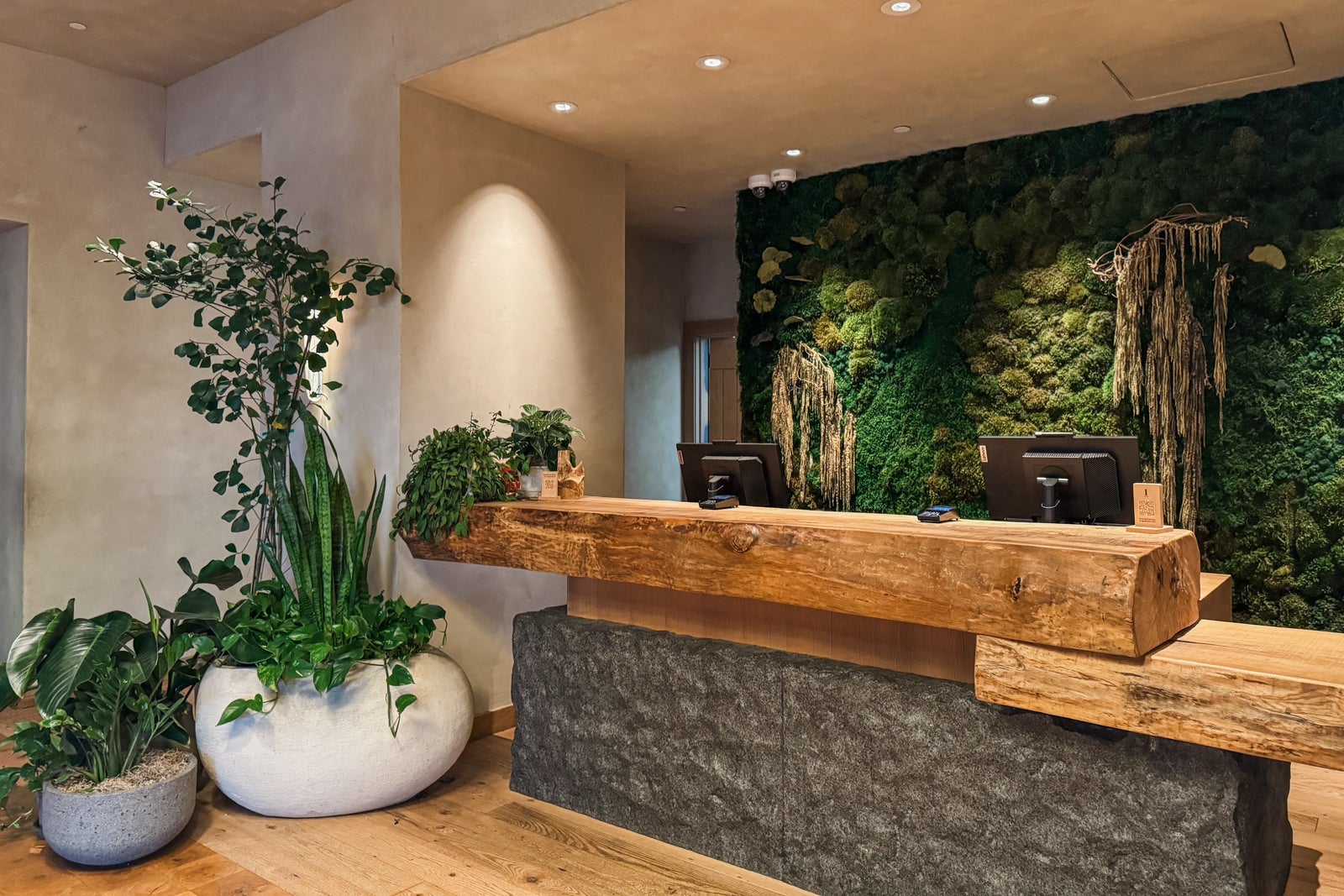 1 Hotel San Francisco review - The Points Guy