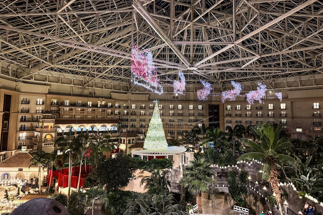 Tips for experiencing 'Ice!' at Gaylord Hotels this holiday season ...