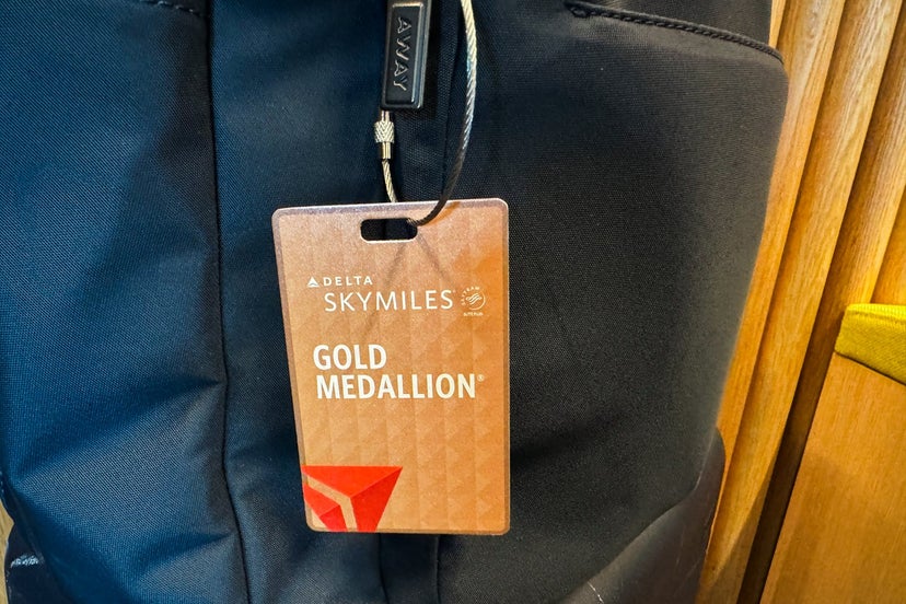 How to get your Delta Medallion bag tag in 2025 - The Points Guy