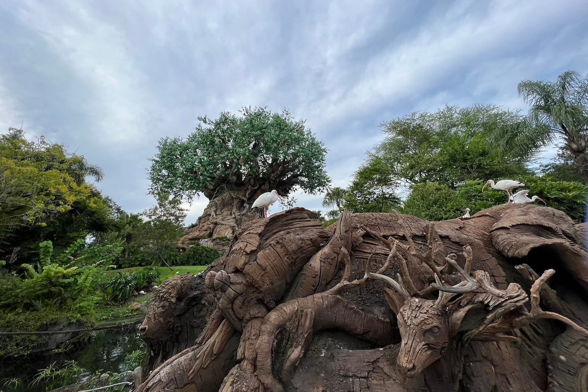 Beloved Disney World attractions that are closing for good - The Points Guy