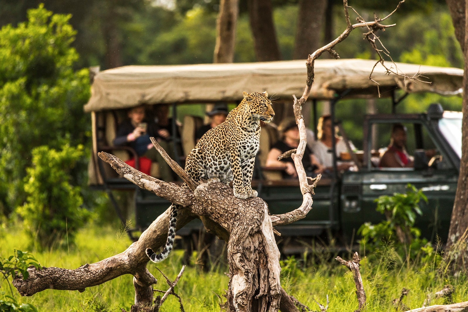 15 dream trips you can book with Capital One miles - The Points Guy