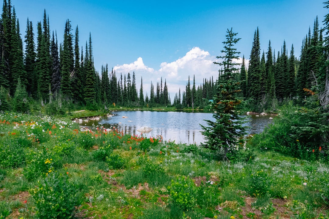 7 underrated Canadian national parks to visit - The Points Guy