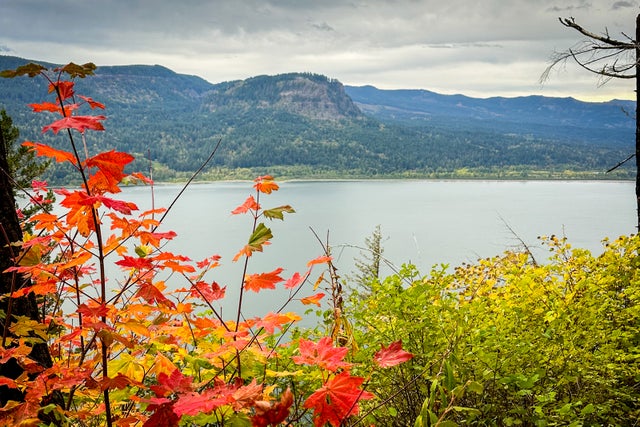 An autumn Oregon road-trip itinerary - The Points Guy