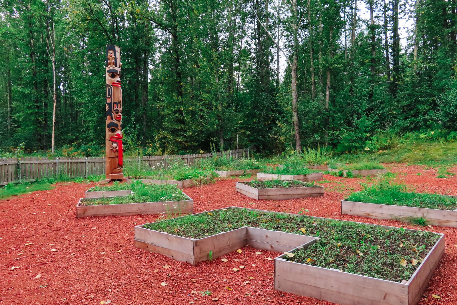 Guide to visiting Anchorage to explore Alaska - The Points Guy